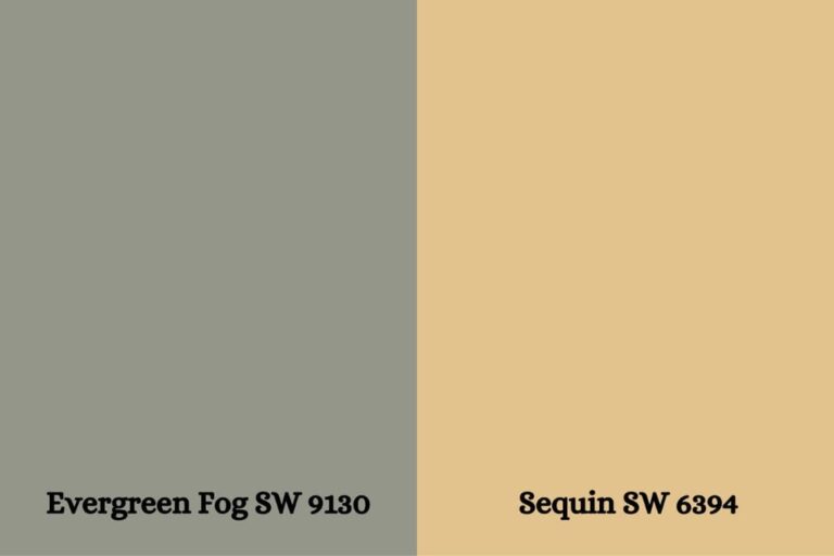 10 Best Evergreen Fog Coordinating Colors for a Perfect Palette ...