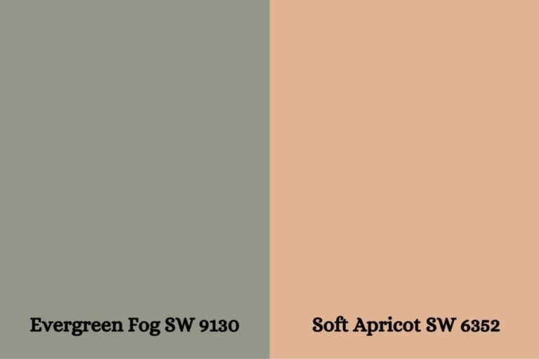 10 Best Evergreen Fog Coordinating Colors for a Perfect Palette ...